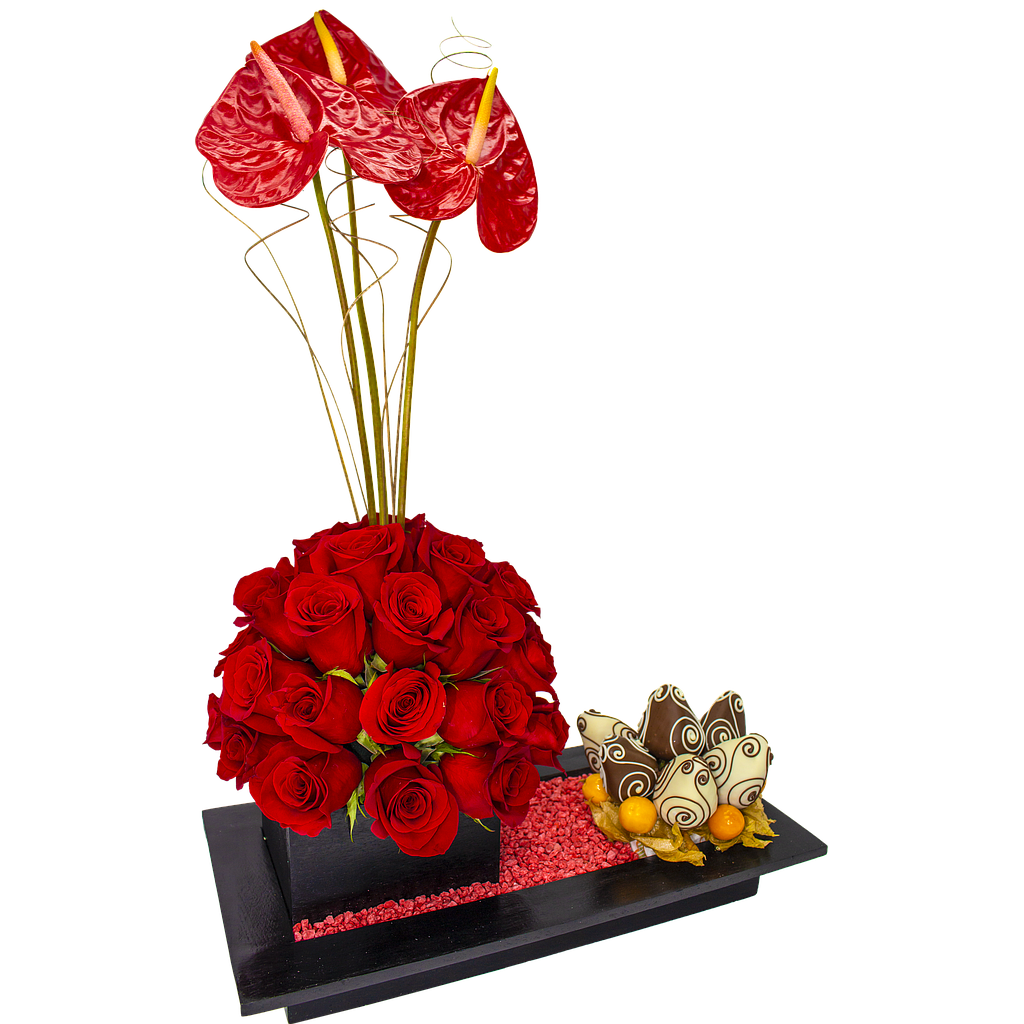 EXPRESION DE SENTIMIENTOS | Florería Escarlata